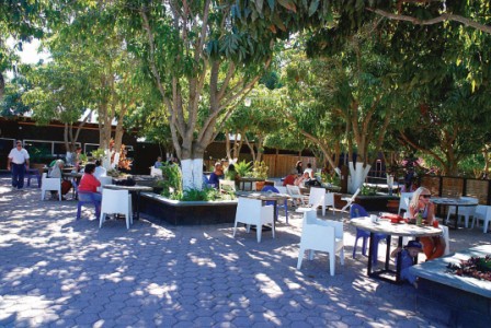 Baja Beans | Journal del Pacifico